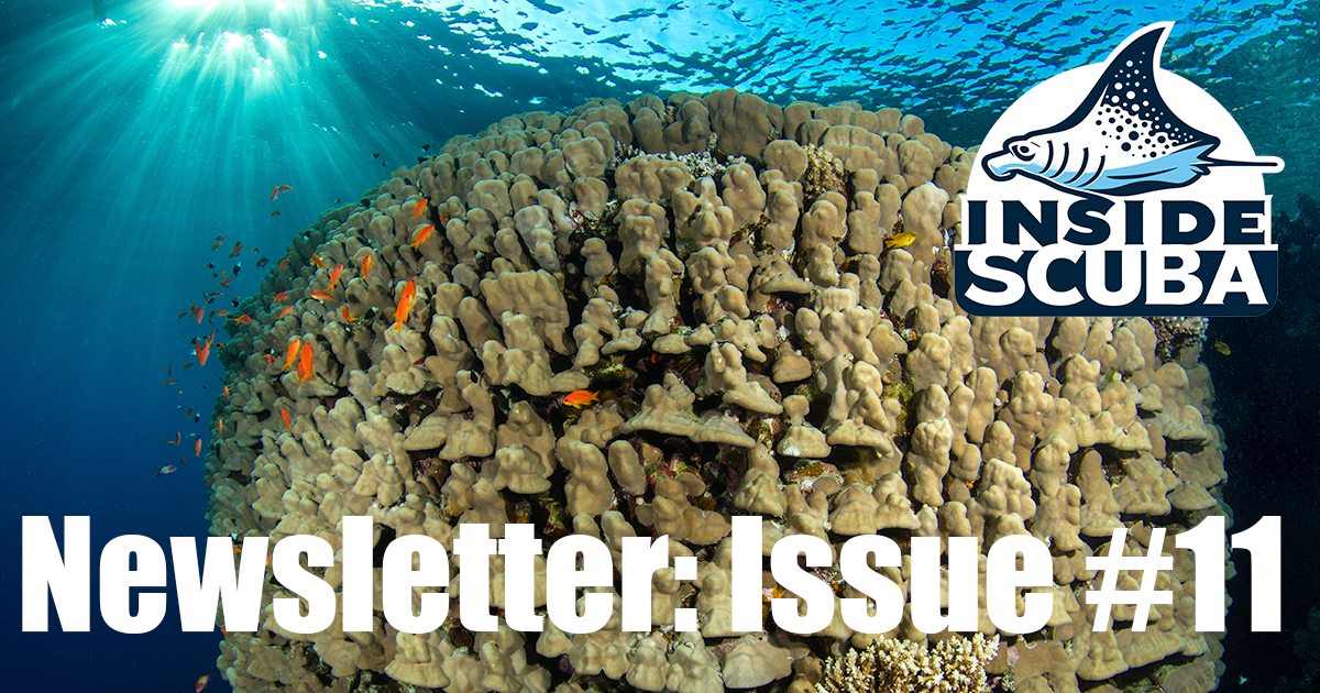 Inside Scuba Issue #11