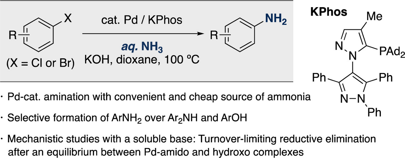 Buchwald–Hartwig Amination with Aqueous Ammonia