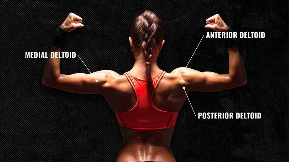 🏋️‍♂️ 13 best exercises for stronger shoulders