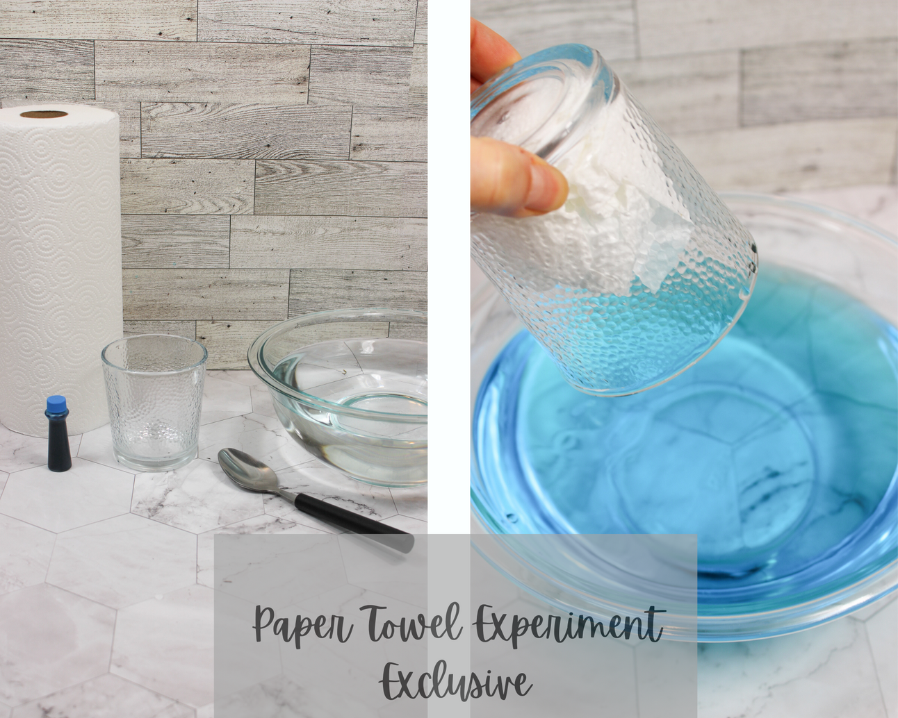 Paper Towel Experiment W/ Video! {Exclusive} SOLD