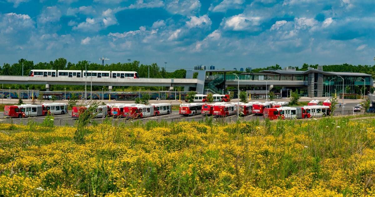 Plan for reopening LRT expected today, as signs cause confusion for riders