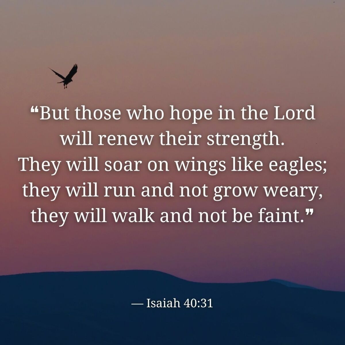 🙏 Verse of the Day: Isaiah 40:31