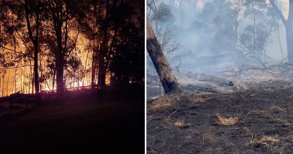 Local crews fight 40-hectare Montrose blaze