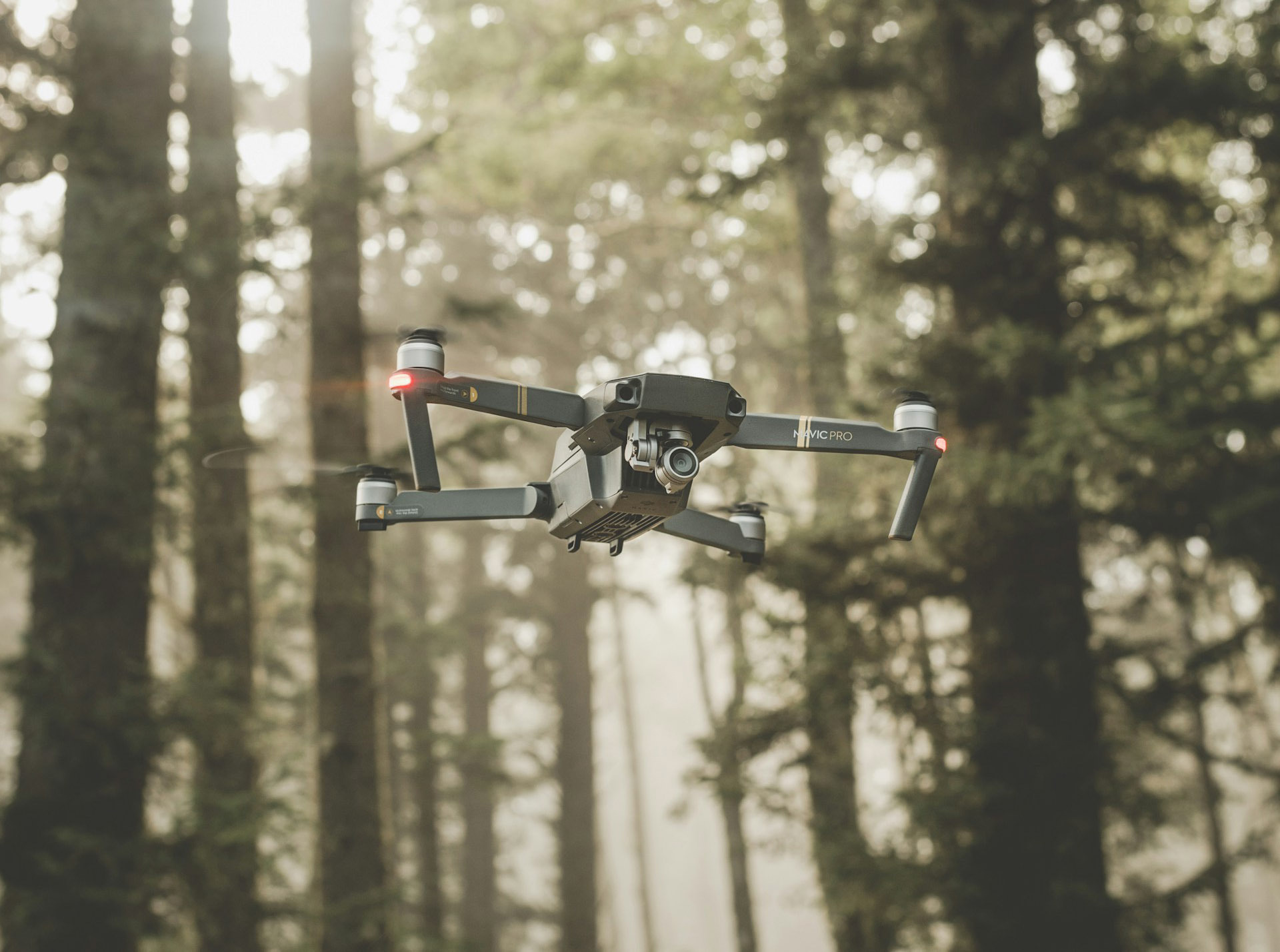 Drone Technology in Wildlife Conservation