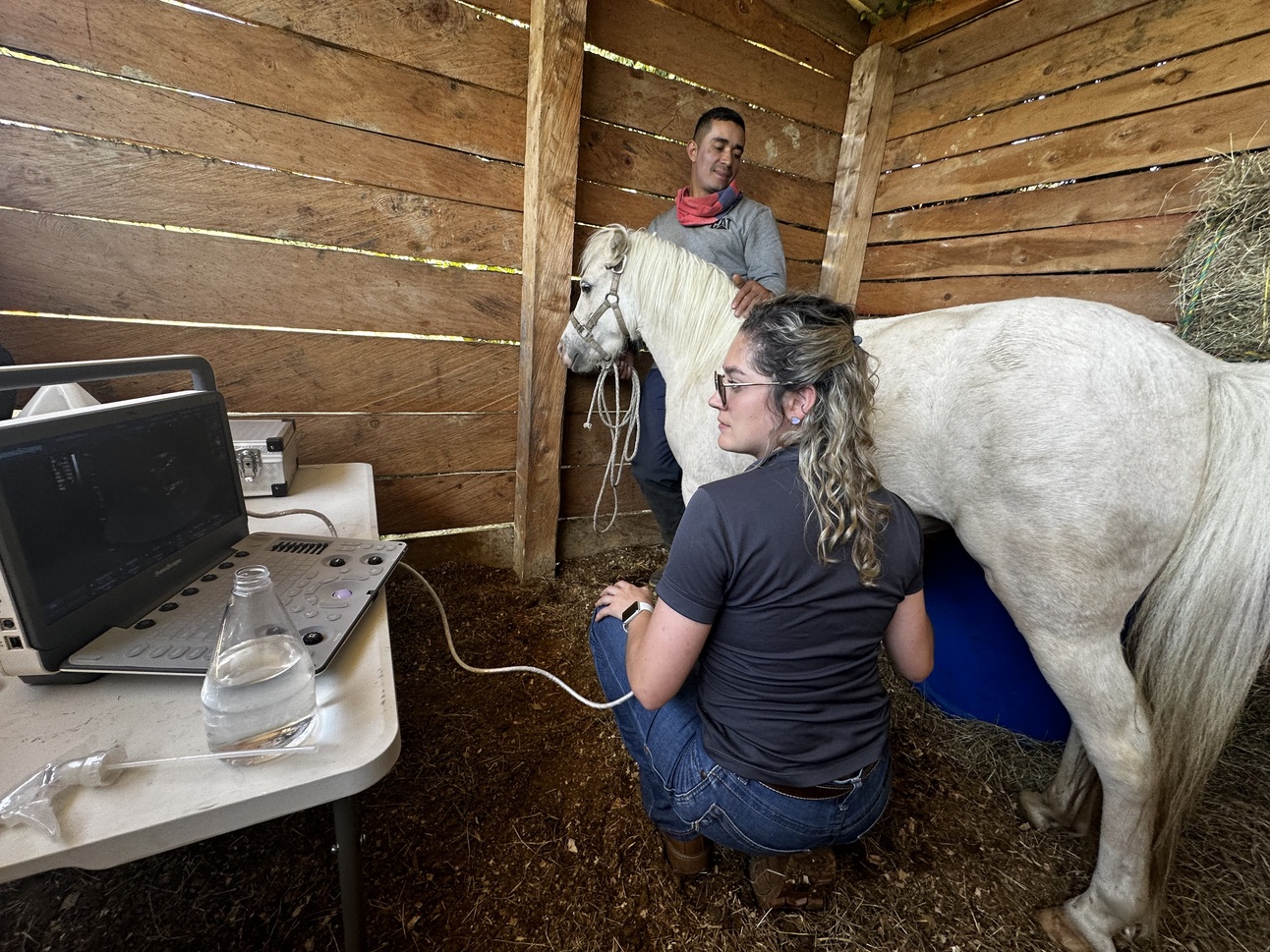 DISMINUYE COSTOS CUIDANDO TU FUTURO Y TU PRESENTE: EVALUACIÓN ...