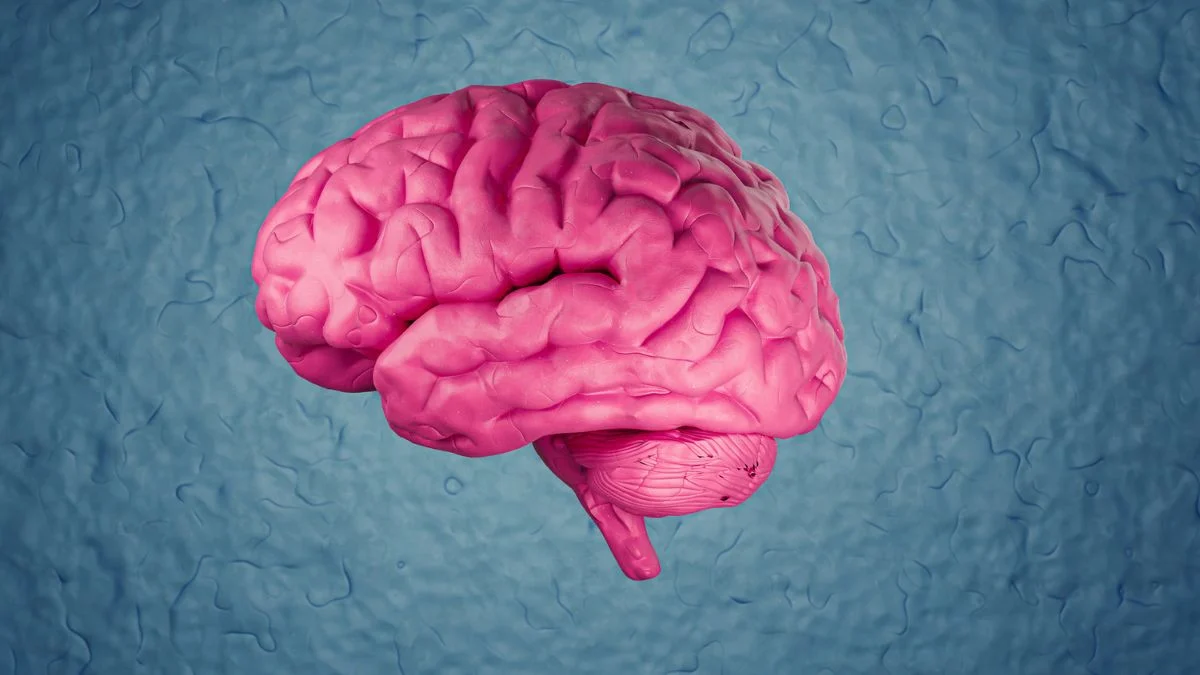 The Latest in Alzheimer's Research