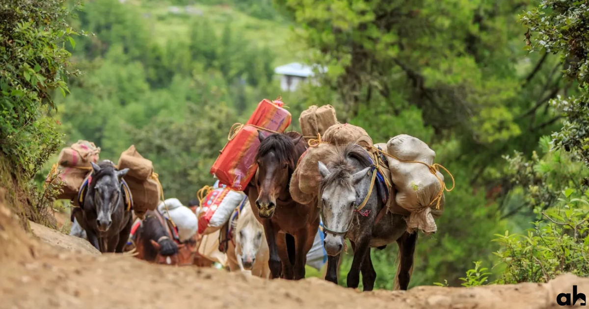 How Much Weight Can A Horse Carry? [Facts & Figures]