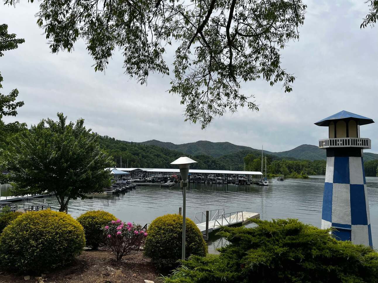 Cove Ridge Marina- Beacon Newsletter - Issue #29