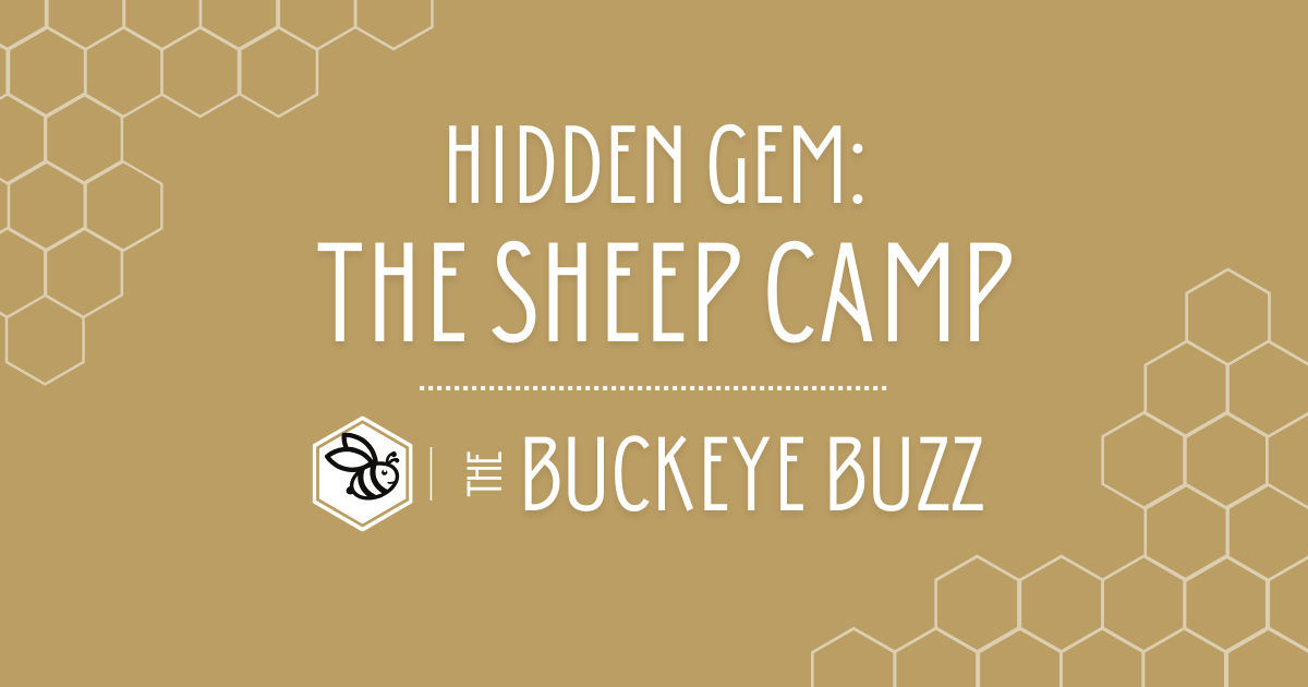 HIDDEN GEM: THE SHEEP CAMP