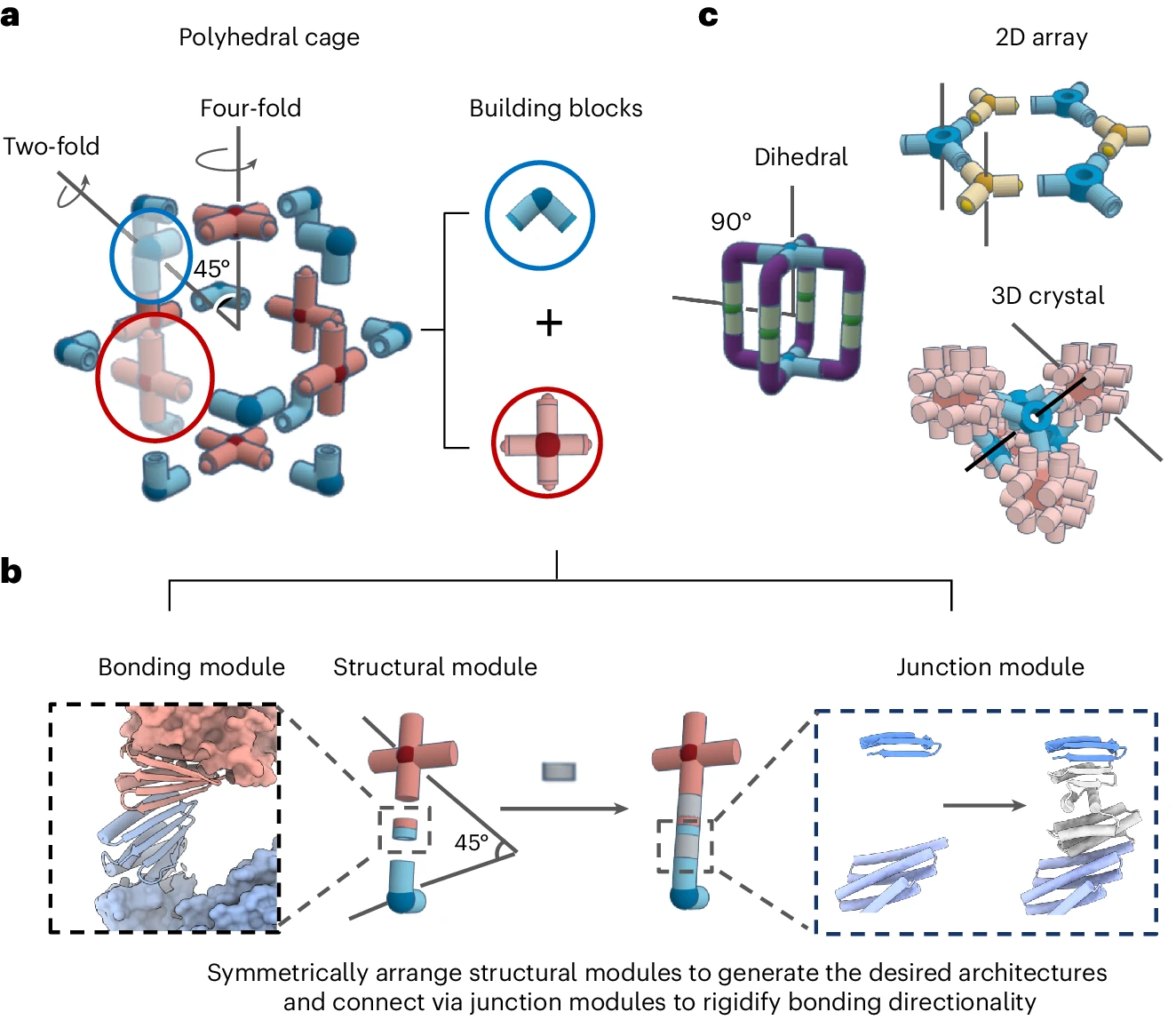 AI-Designed Protein Nanoassembly: Molecular Lego's Next Frontier!