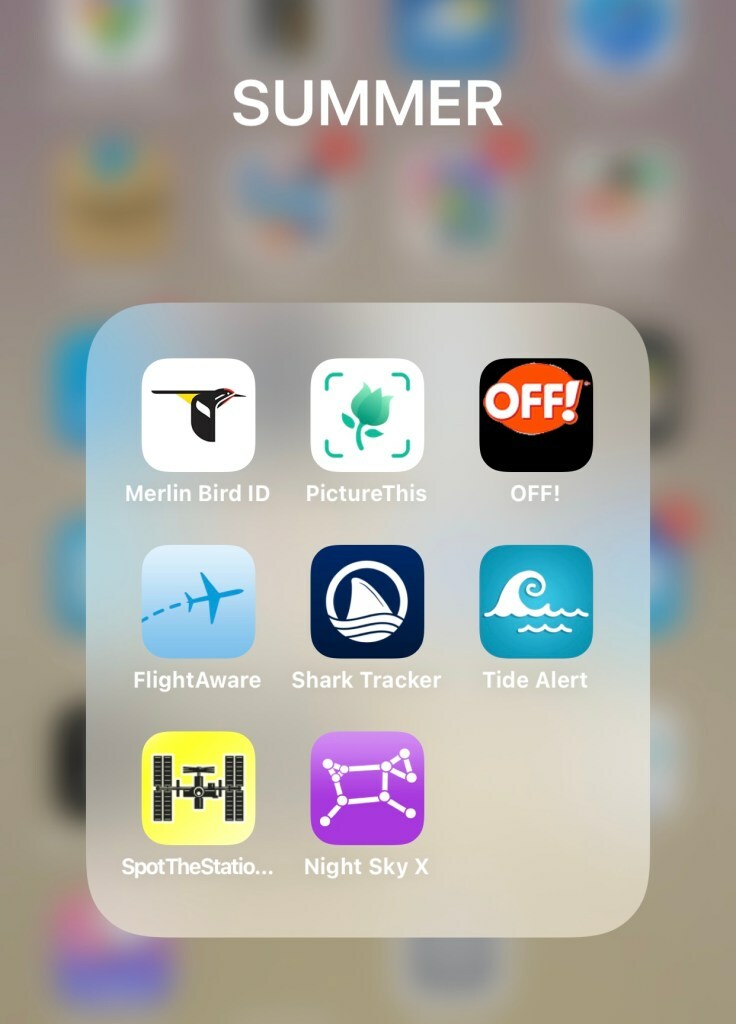 Summer Phone Apps