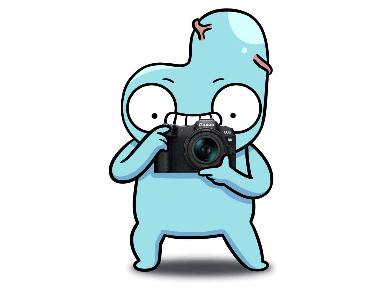 How Do Cameras Actually Work? 📸