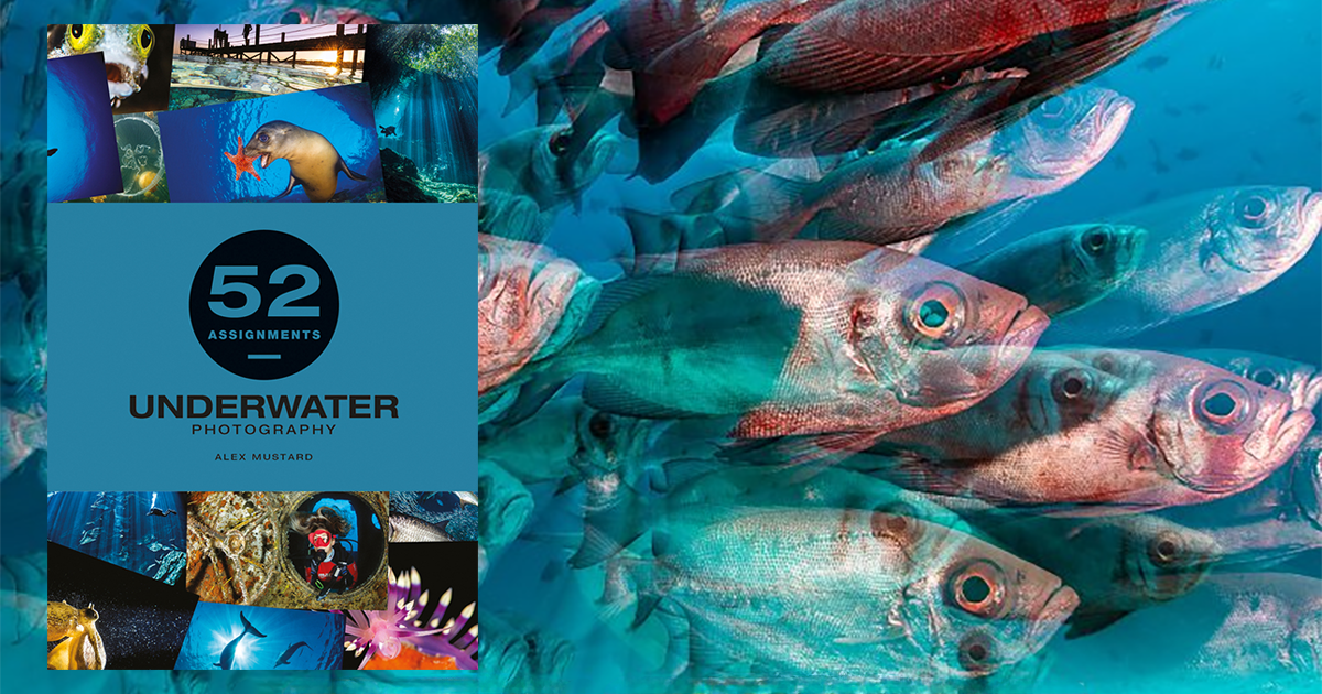 Exploring New Creative Frontiers with 52 Assignments: Underwater ...