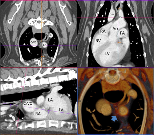 The CT appearance of pericardial recesses in dogs