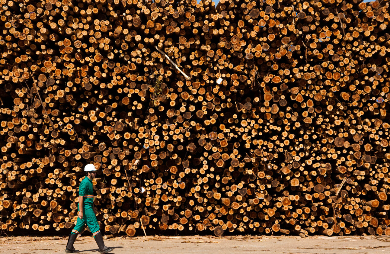 Pulp friction: Paper Excellence setback in Eldorado dispute