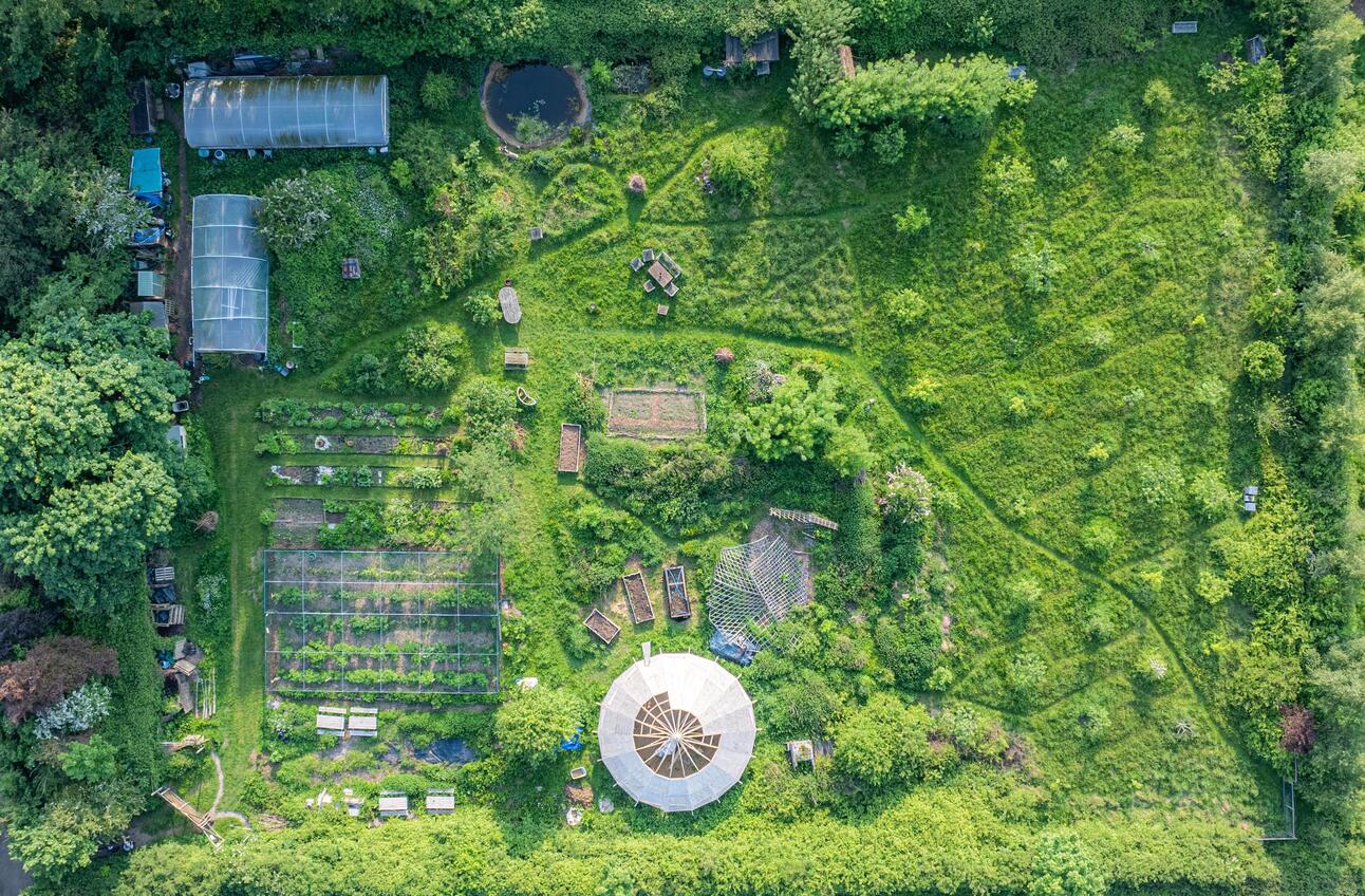 Rosamund Community Garden Update June 2024