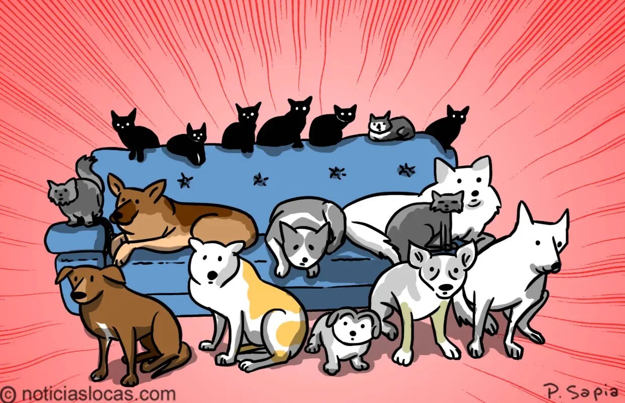 Luego de una semana de intentos, logra la foto familiar perfecta de sus ...