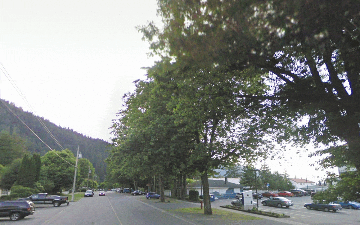 Three old, dangerous trees. One quarelling council that can't agree ...