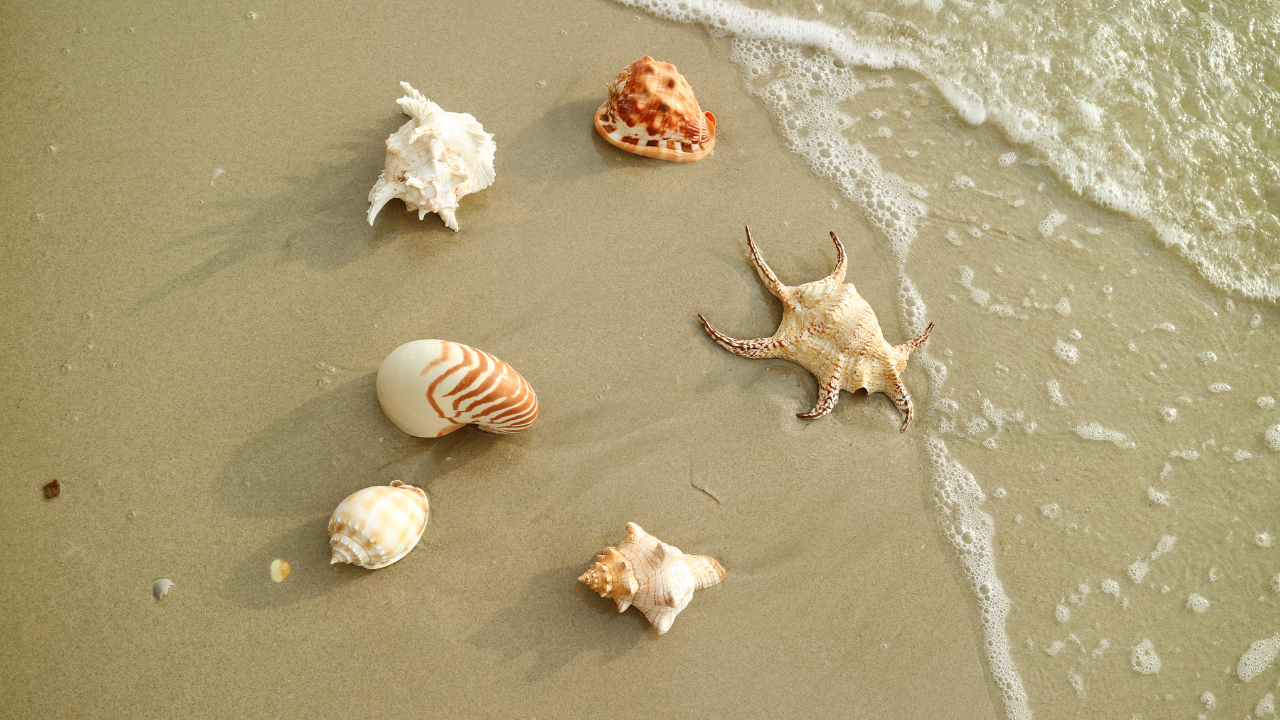 Discover the Six Menopause Types