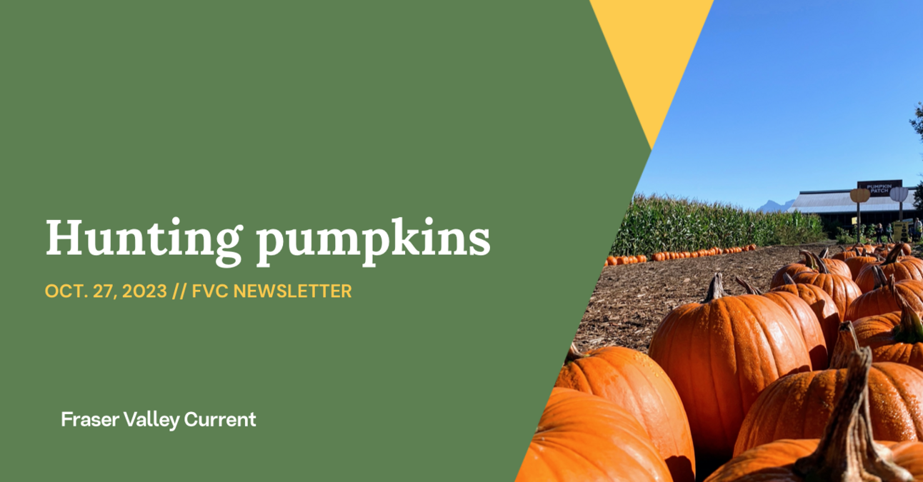 Friday - Oct. 27, 2023- Hunting pumpkins