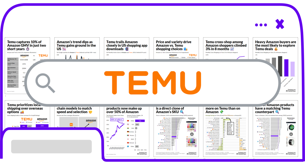 Temu: Confronting Amazon US🥊