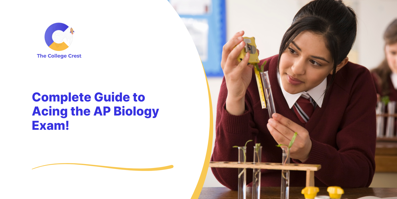 Complete Guide to Acing the AP Biology Exam!