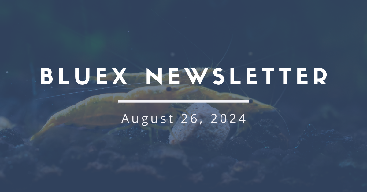 BlueX | 8-26-24 | Canada's Ocean Startup Project and Work On Ocean