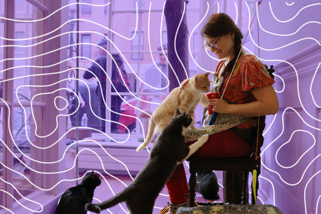 😻 Boston’s cat cafe is open for biz
