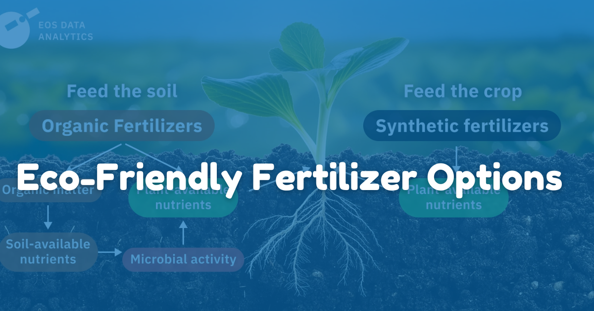 Eco-Friendly Fertilizer Options: The Best Organic Solutions for ...