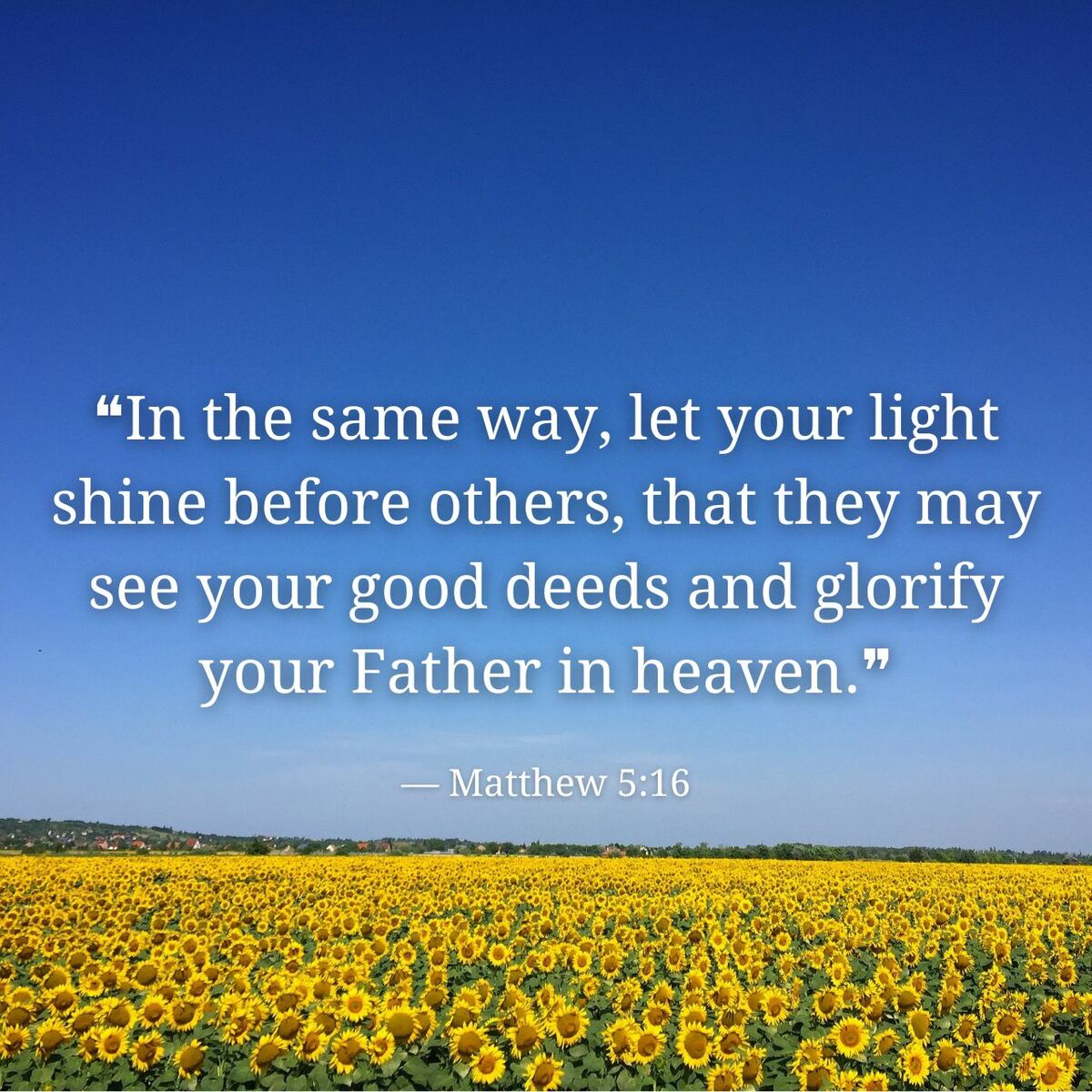 Verse of the Day: Matthew 5:16