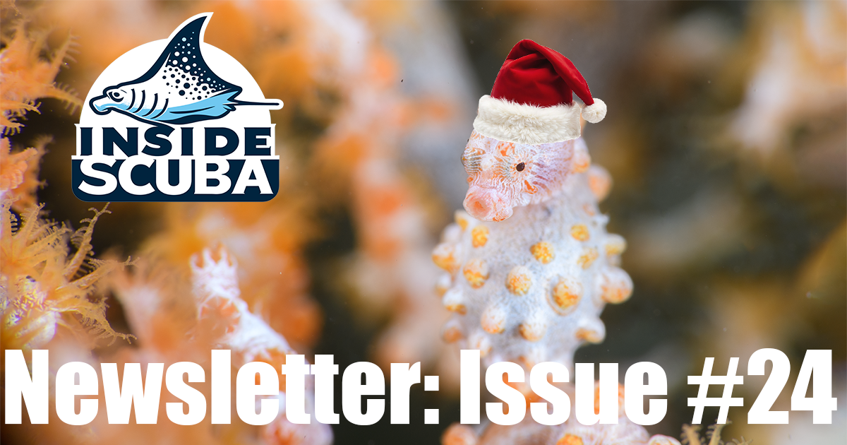 Inside Scuba Issue #24