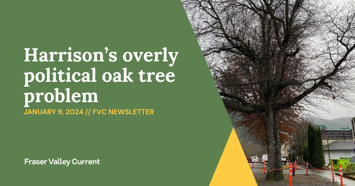 Tuesday - Jan. 9, 2024 - Three trees in Harrison