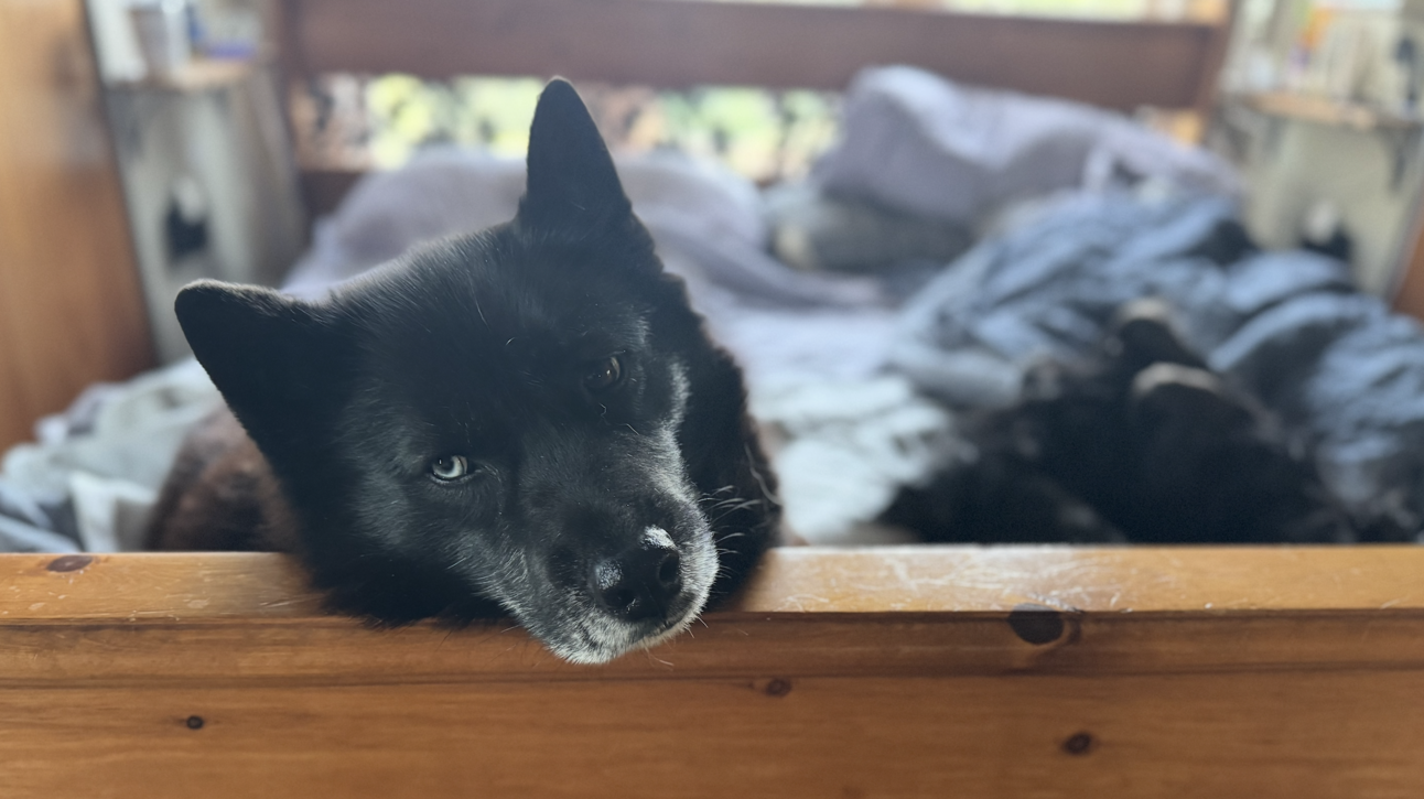 The Physics of Getting Out of Bed