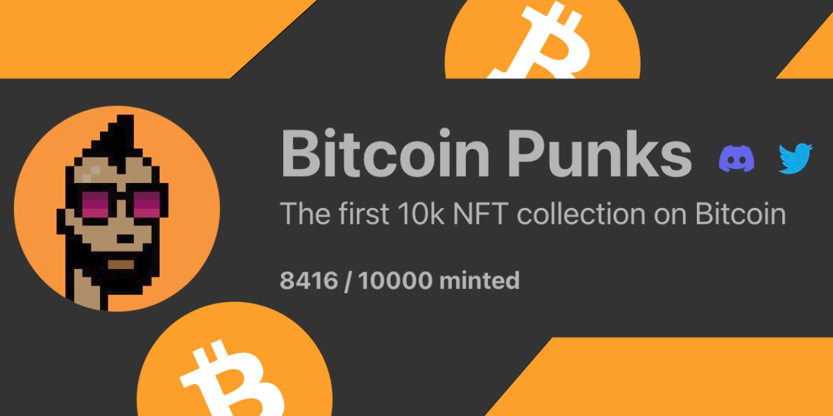 Should You Buy A Bitcoin Punk?