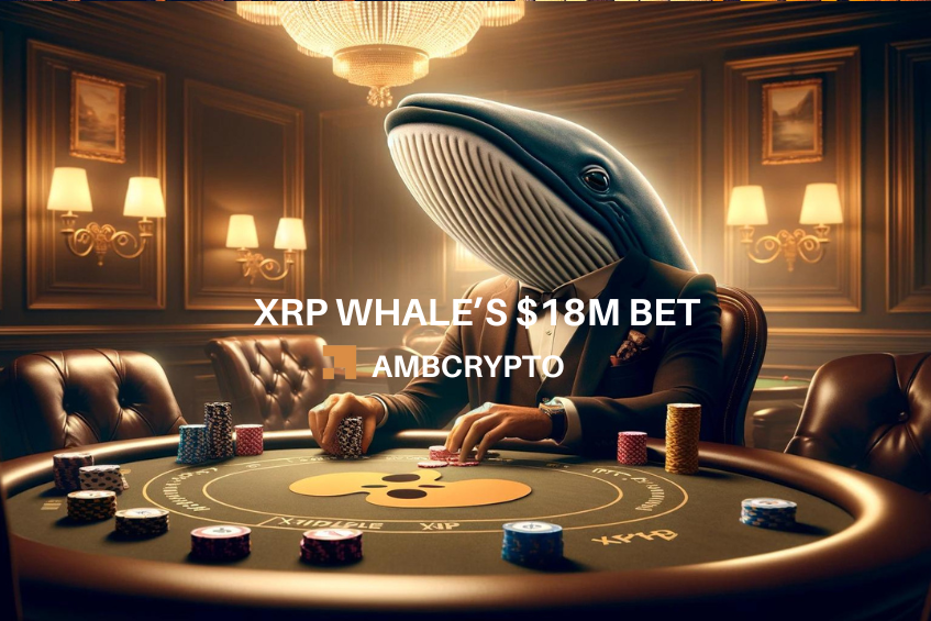 XRP Whale's $18M bet
