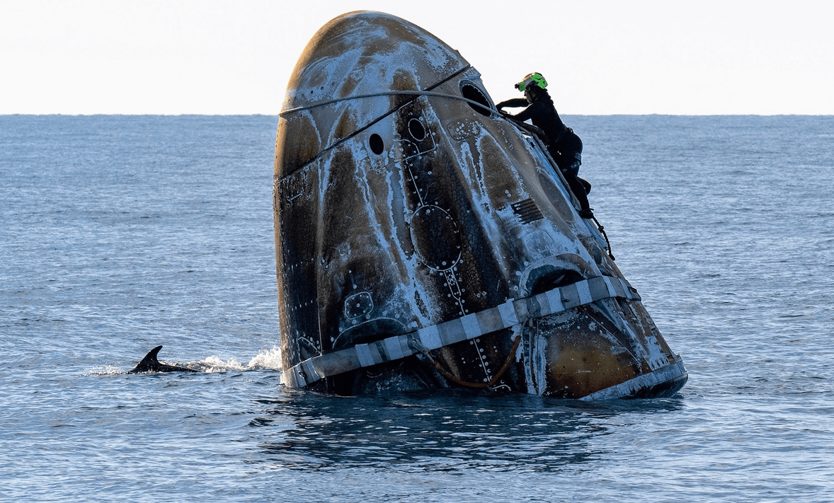 Dolphins Welcome NASA Astronauts After SpaceX Splashdown