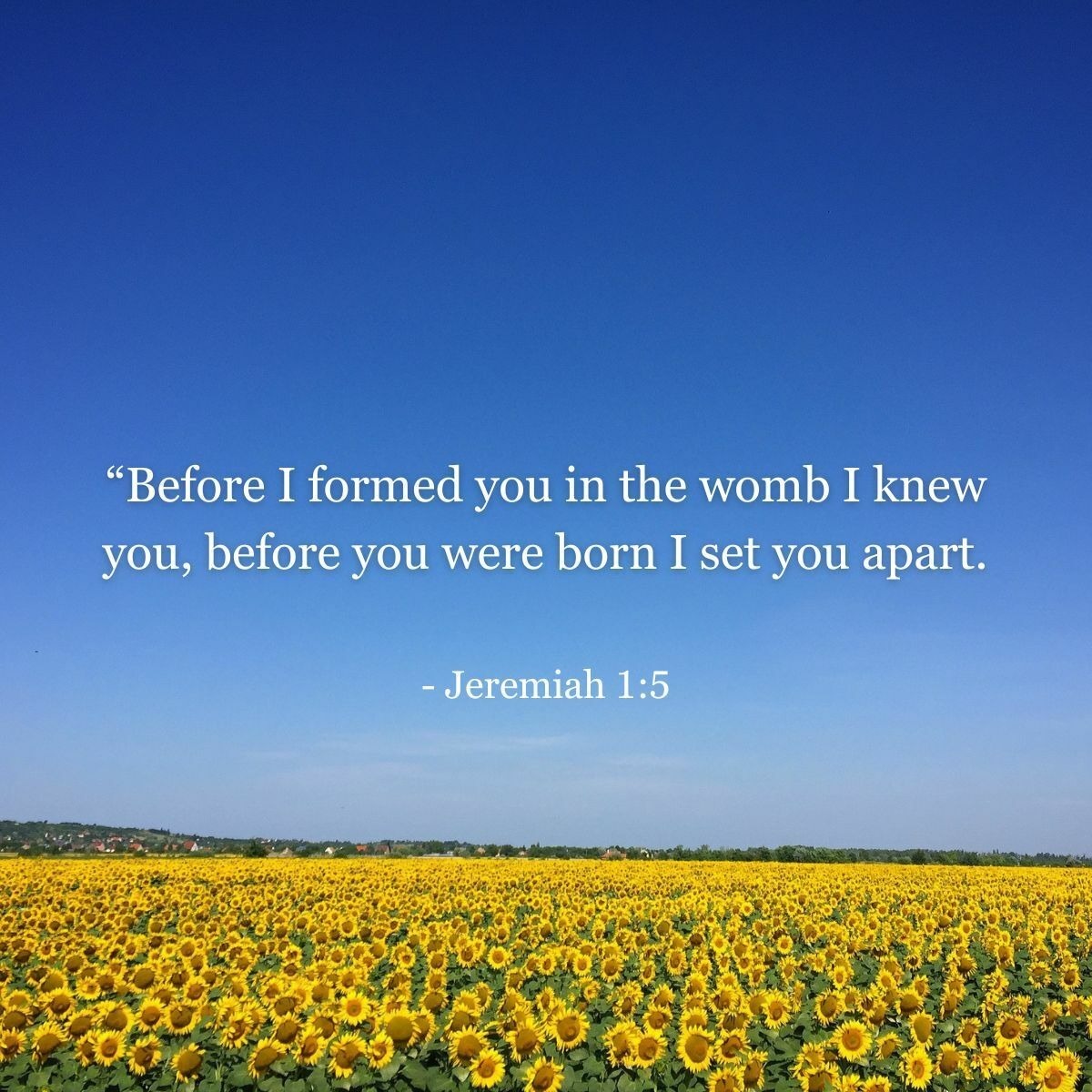 Verse of the Day: Jeremiah 1:5