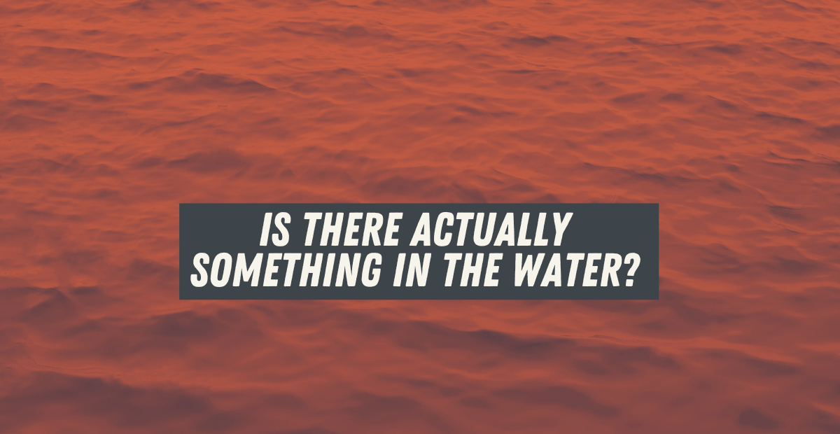 Is There Actually Something in the Water?
