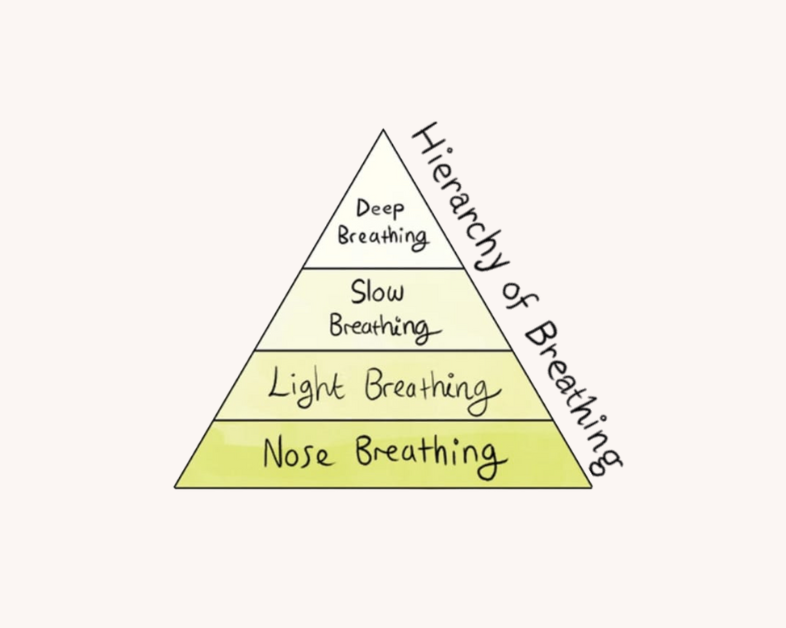 LSD Breathing, Five Senses Journaling & Movement = Creativity