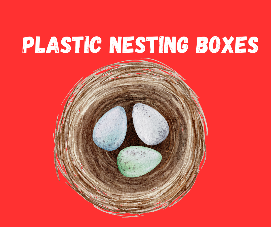 The Benefits of Plastic Nesting Boxes for Your Chickens