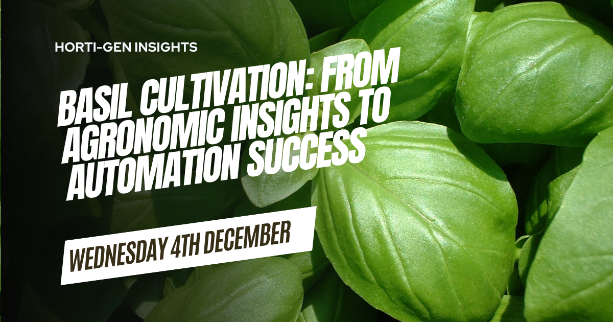 Basil Cultivation: From Agronomic Insights to Automation Success