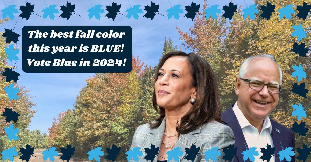 The Best Fall Color This Year is Blue!