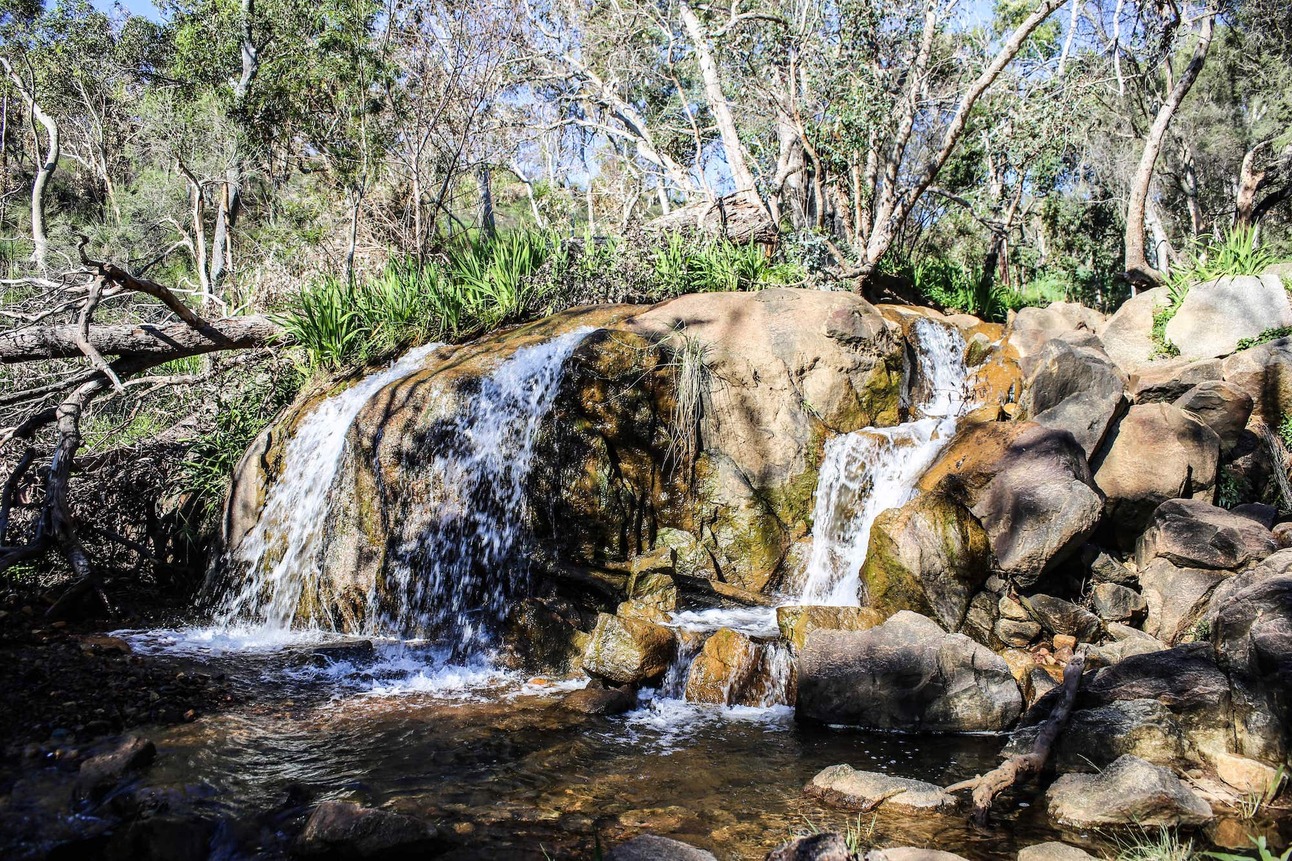 A North Perth corner store transformed into the coolest house on the block