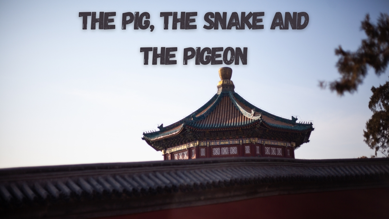 The Pig, The Snake and The Pigeon