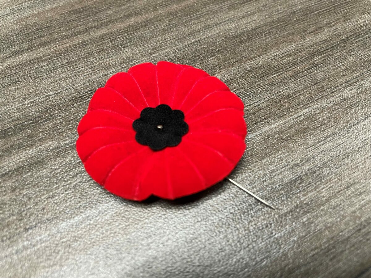 New additions to 2022 poppy campaign include biodegradable and ...