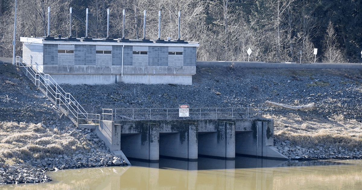 Open floodgates allowed Fraser to flood Sumas Prairie in 2021, suit alleges