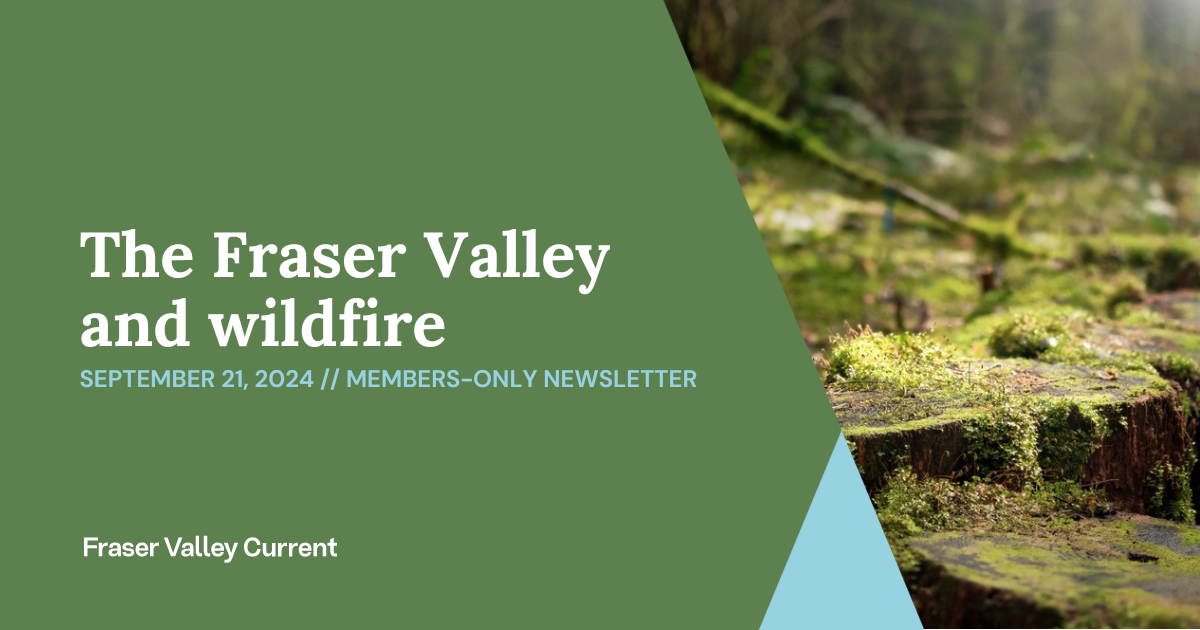 FVC Weekend Edition—Different kinds of fire