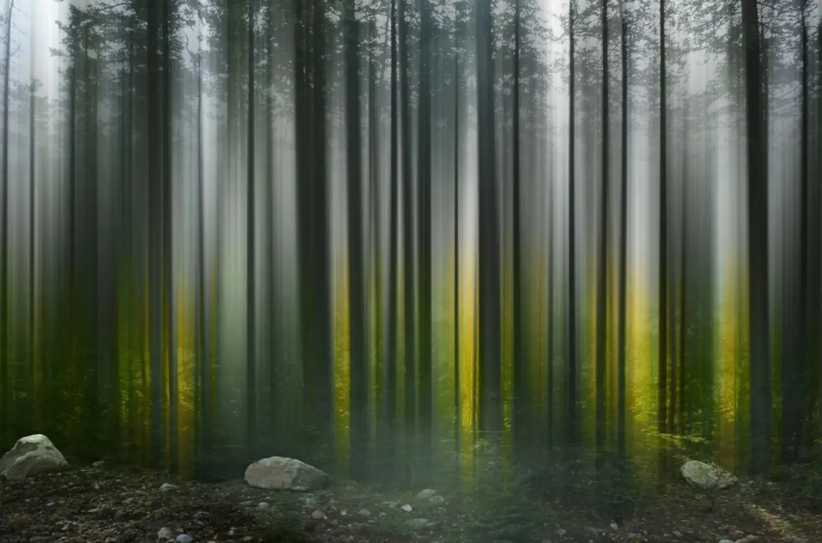 Ellen Jantzen’s Ethereal Forest Ghosts