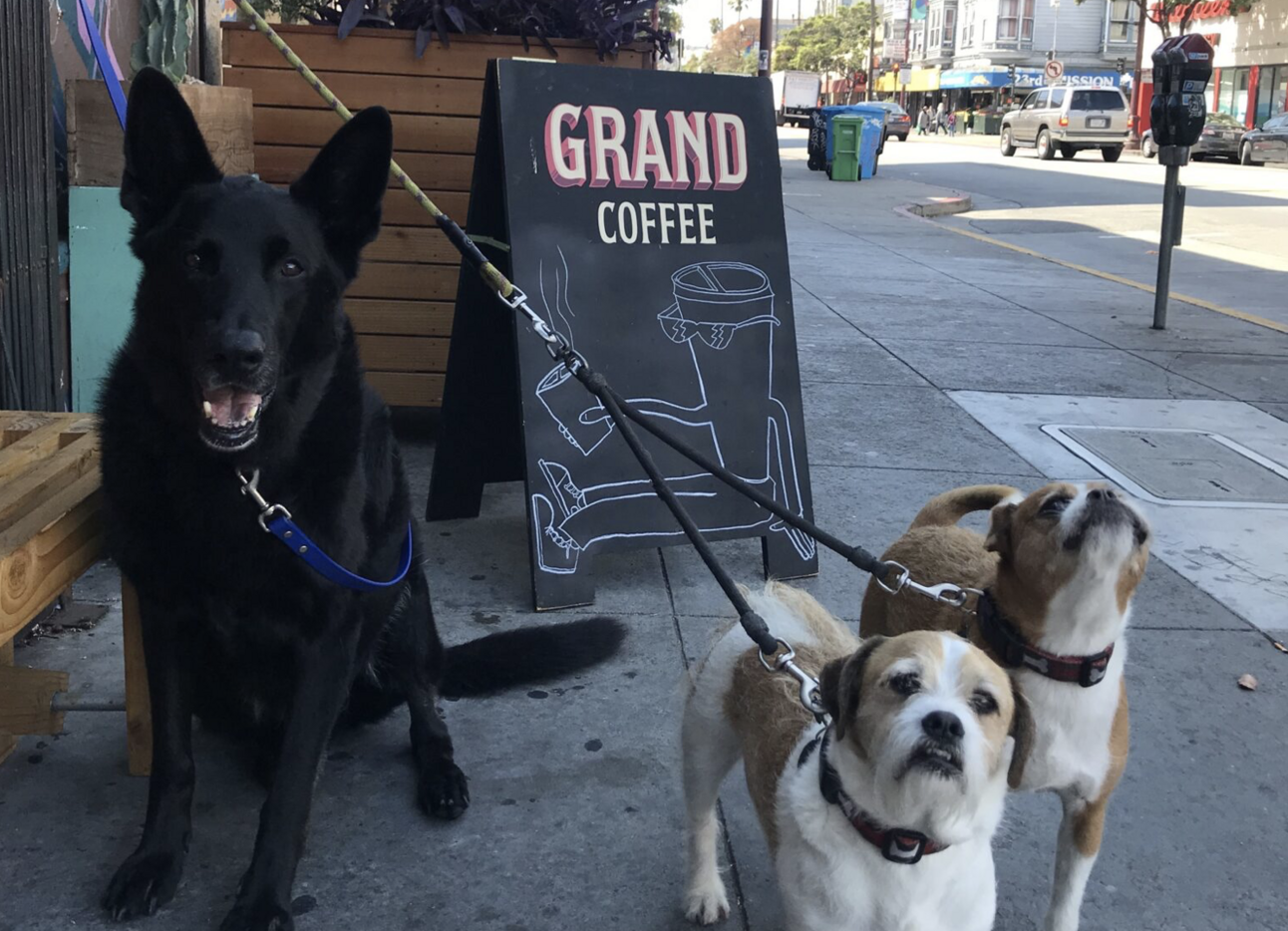 Why Grand Coffee Is Mission Street’s Loveliest Cafe