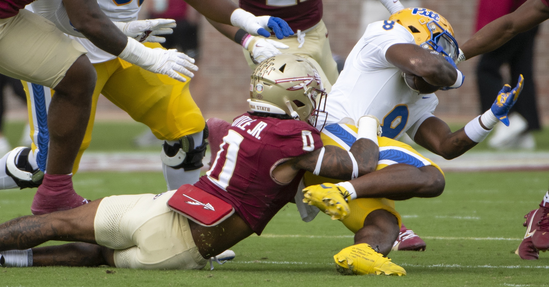 PFF grades for FSU vs. Pitt: High marks for Seminoles' secondary